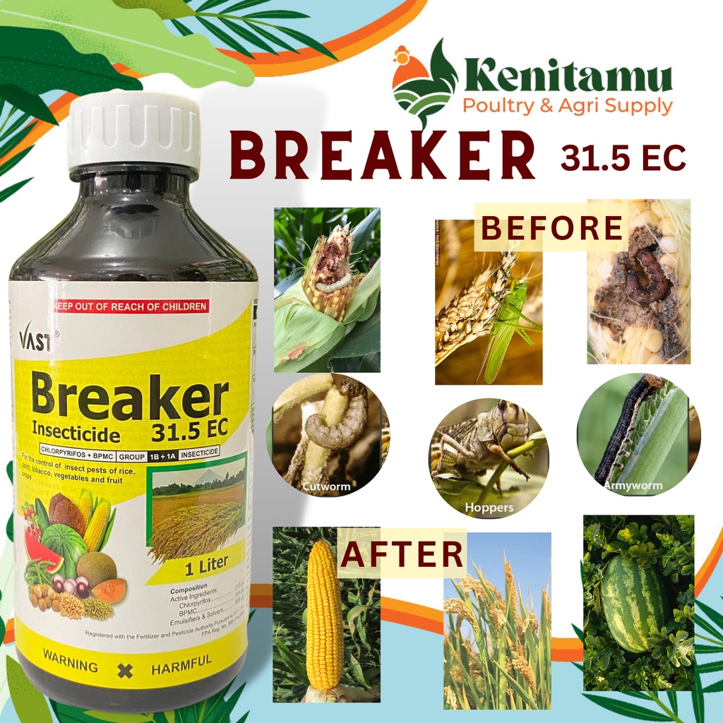 BREAKER 31.5 EC (INSECTICIDE) | Shopee Philippines