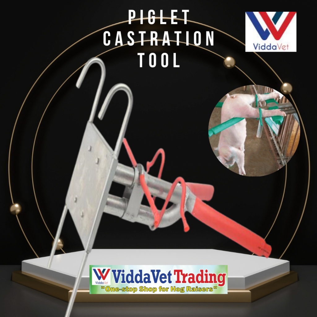 Viddavet castration holder piglet castration piglet castration tools ...