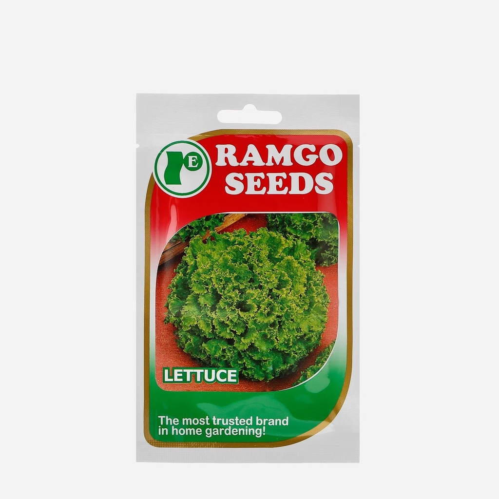 Ramgo Lettuce Leafy Lollo Bionda Seeds | Shopee Philippines