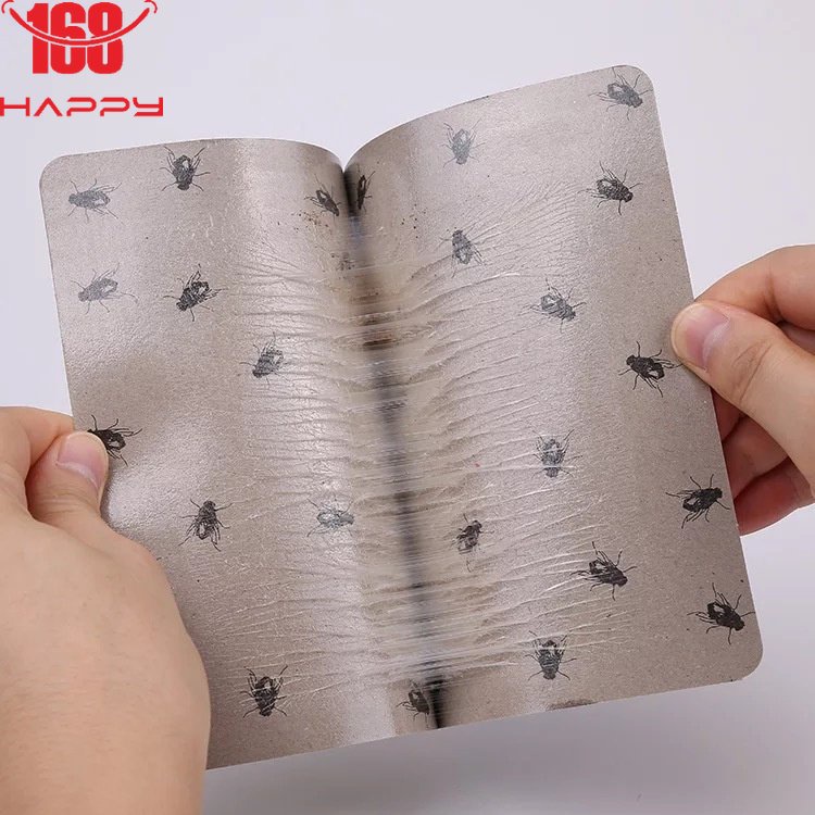 Fly Trap Super Sticky Fly Board Insect Trap | Shopee Philippines