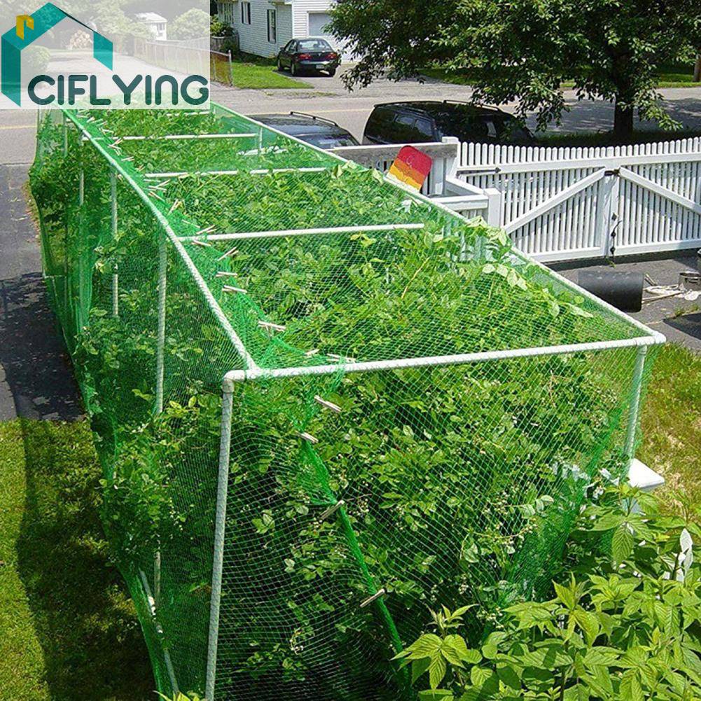 2x10M/4x10M Garden Green Nylon Trellis Netting Support Climbing Bean ...