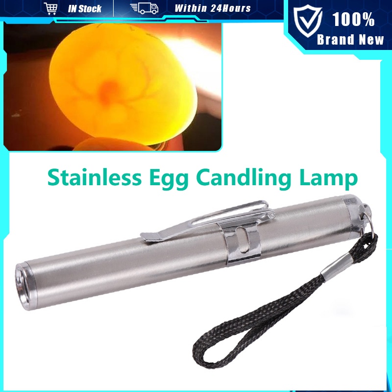 LED Egg Tester Candling Lamp with Keychain Stainless Steel Birds ...