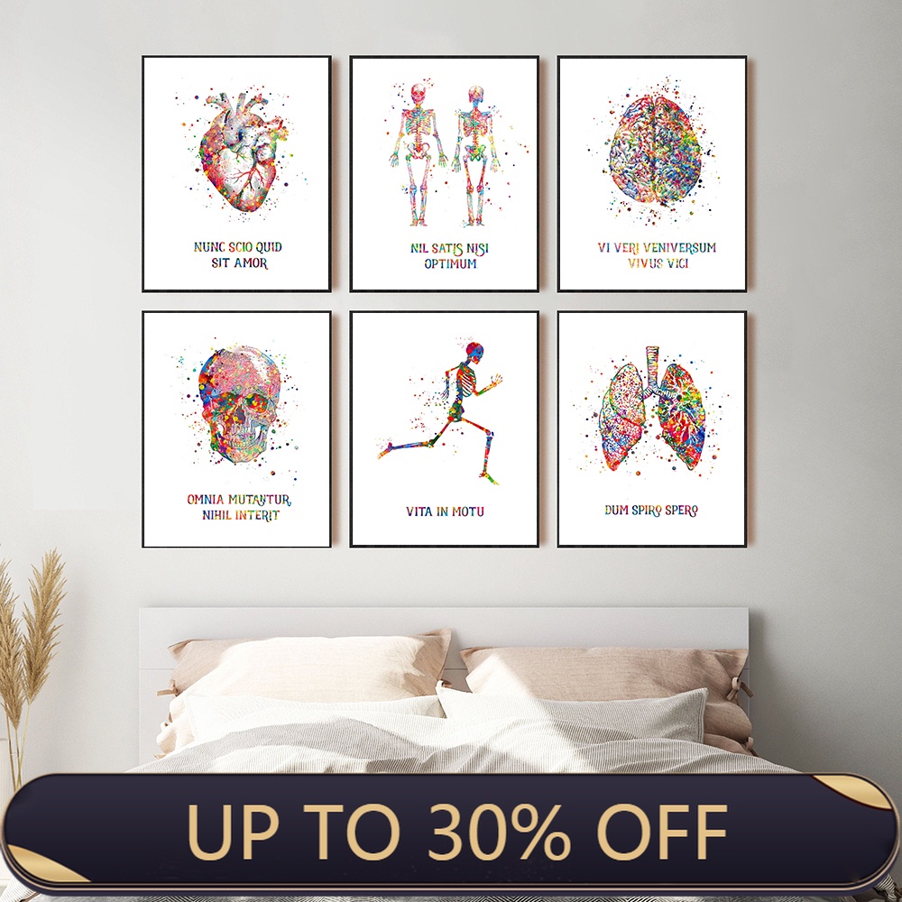 Human Medical Anatomy Vintage Poster and Print Heart Lungs Brain Quote ...