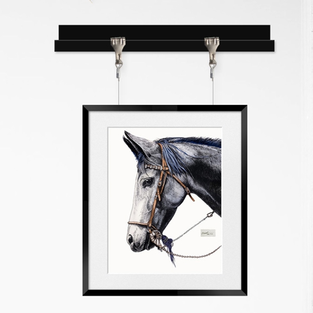 Wire Picture Hanger Kit 10 Sets Silver Tanso Hindi Kinakalawang na Asin ...