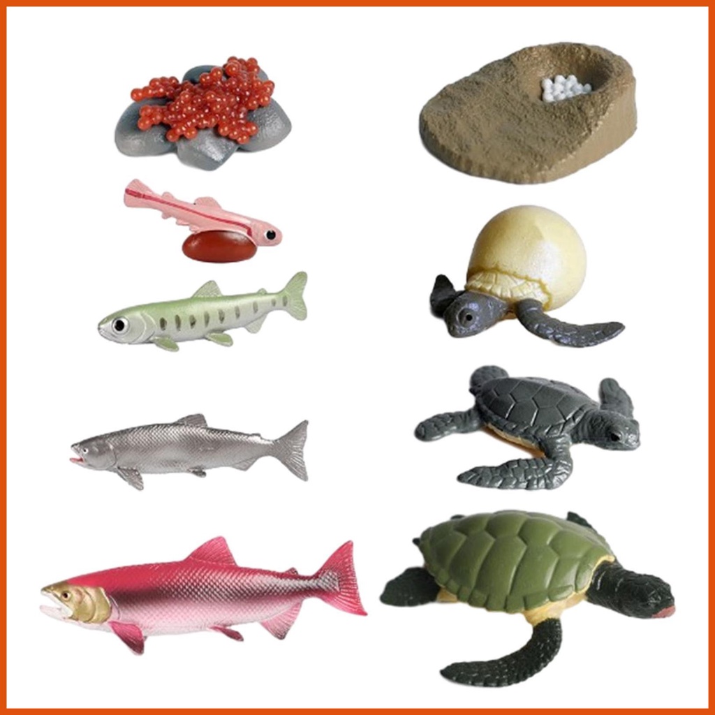 Seas Life Figurines 9PCS/Set Animal Life Cycle Figurines of Sea Turtle ...