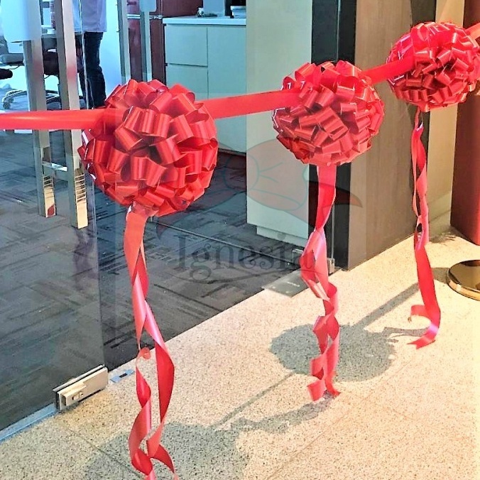 Inauguration Flowers 1 Set of 3 Pompoms 25cm Complete with Scissors for ...