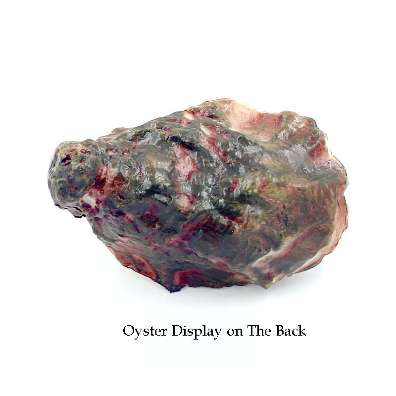 Fake Oysters Artificial Scallop Shellfish Seafood Model for Kitchen ...