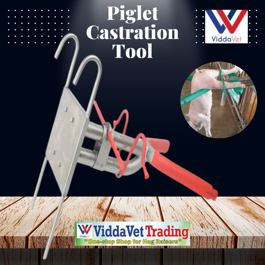 Castration tool for piglet castration tools for goat piglet castration ...
