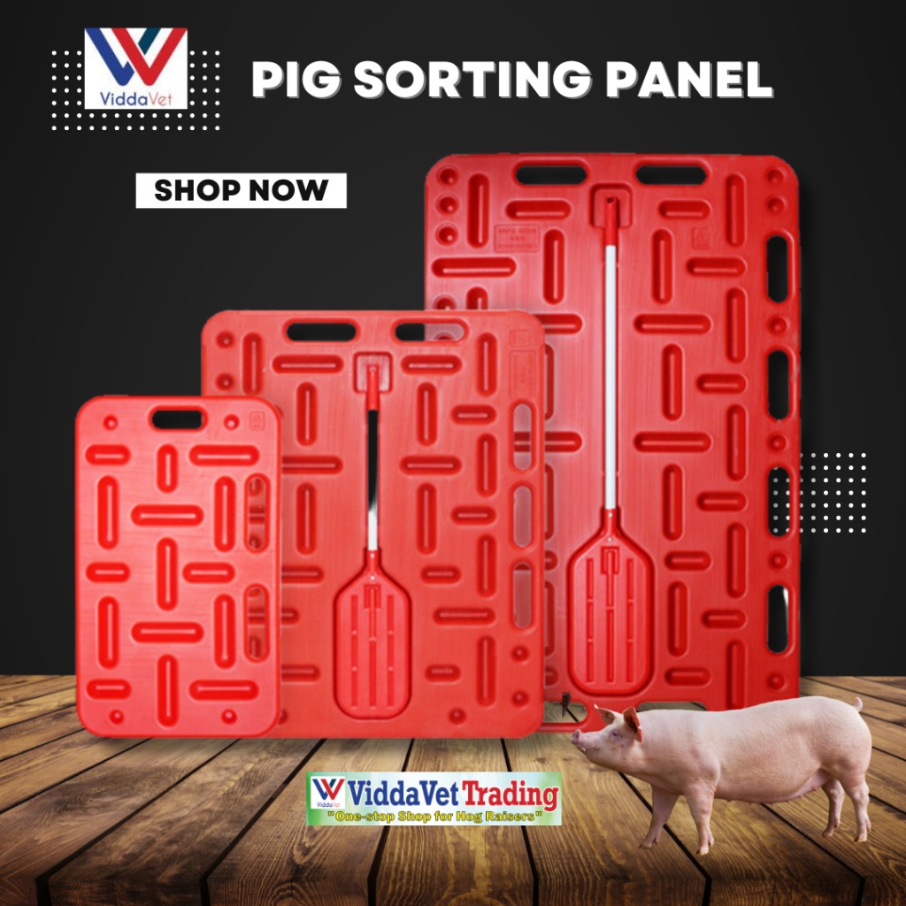 Sorting Panel with paddle stick for moving pigs Pig sorting panel Pig ...