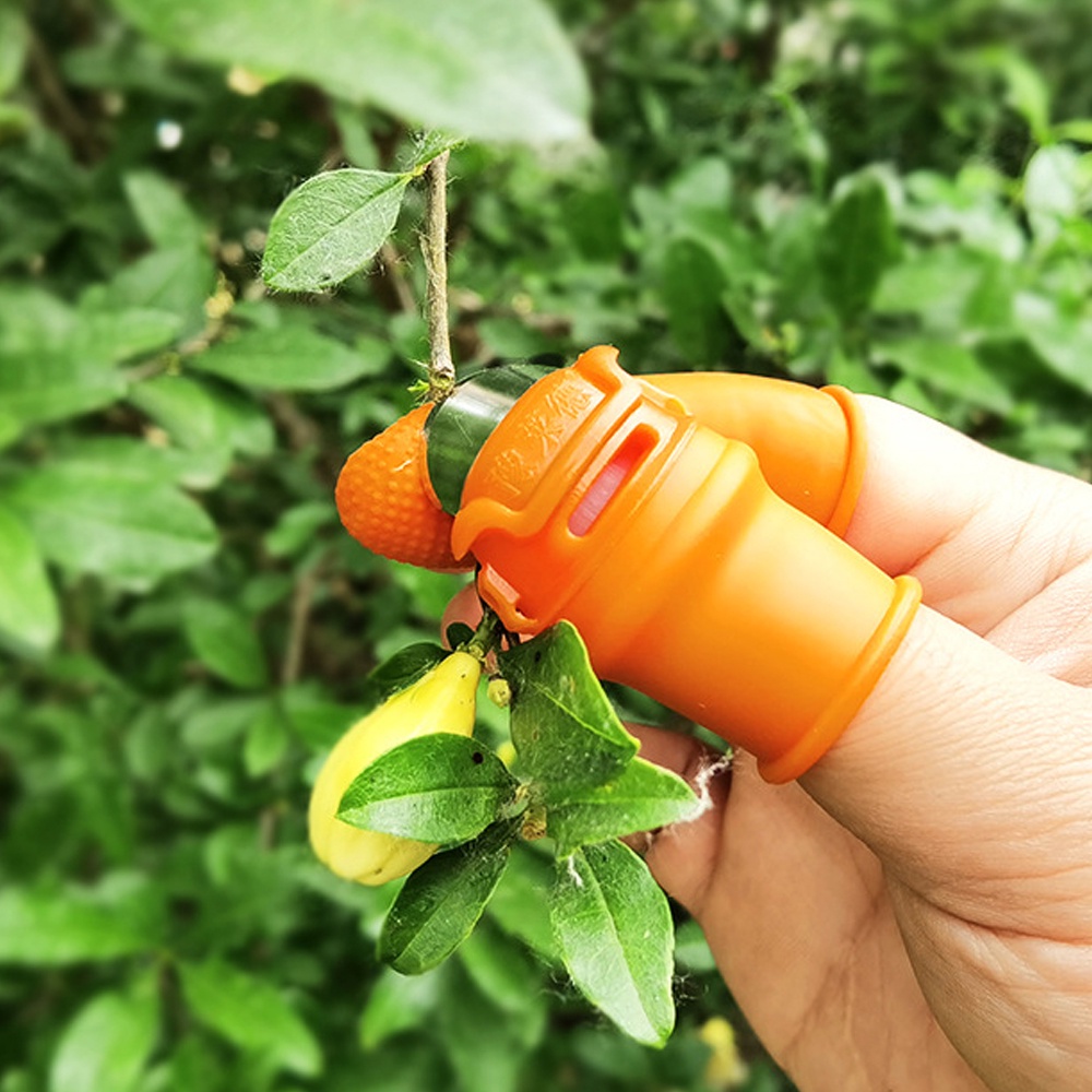 Farm Vegetable Fruit Picker Pickle Pepper Pickle Tip Picker Iron Nail ...