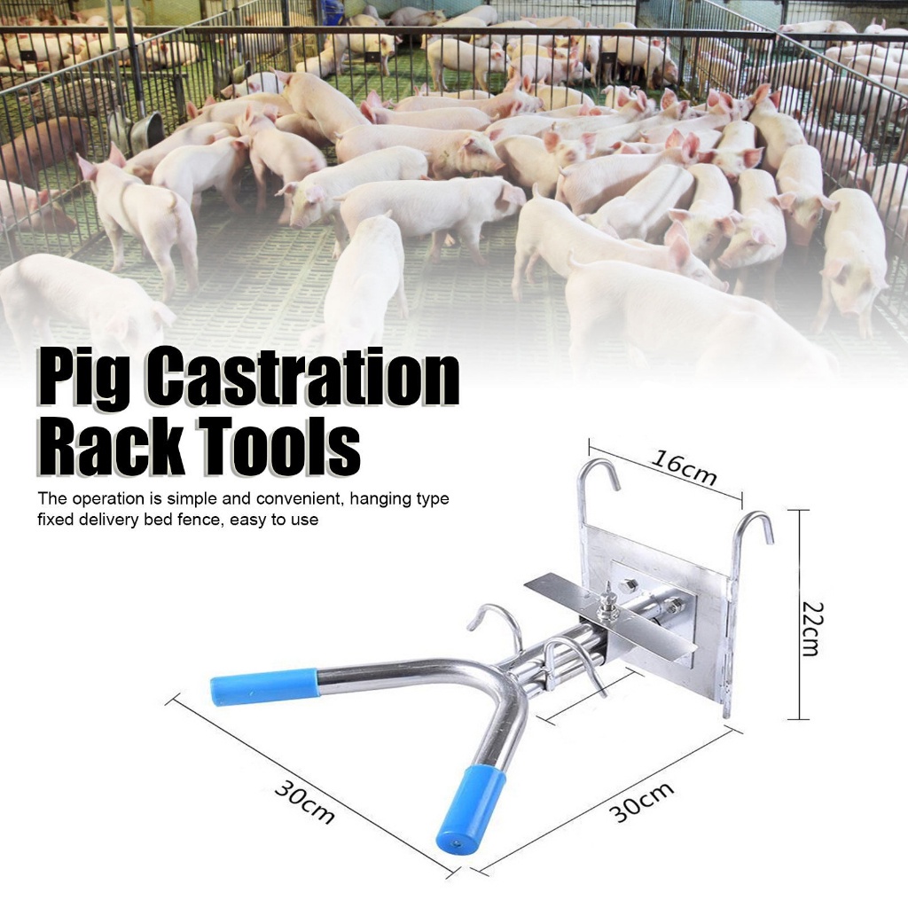 Hanging Piglet Set Double Hook Suspension Stainless Steel Scrotum For ...