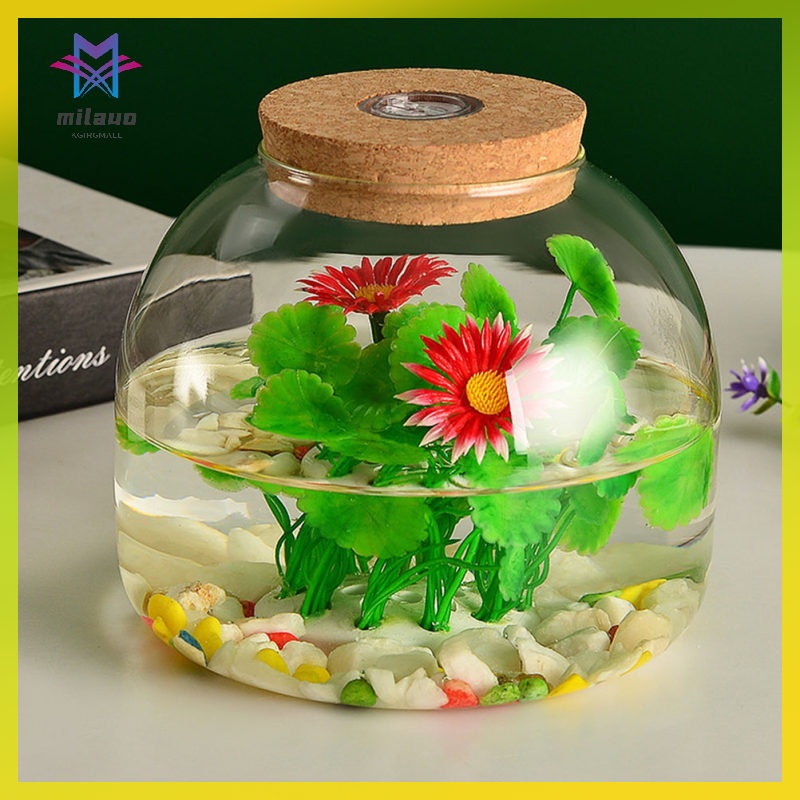 milauo Small Fish Tank Plant Bottle Hydroponic Terrarium Cork Glass ...