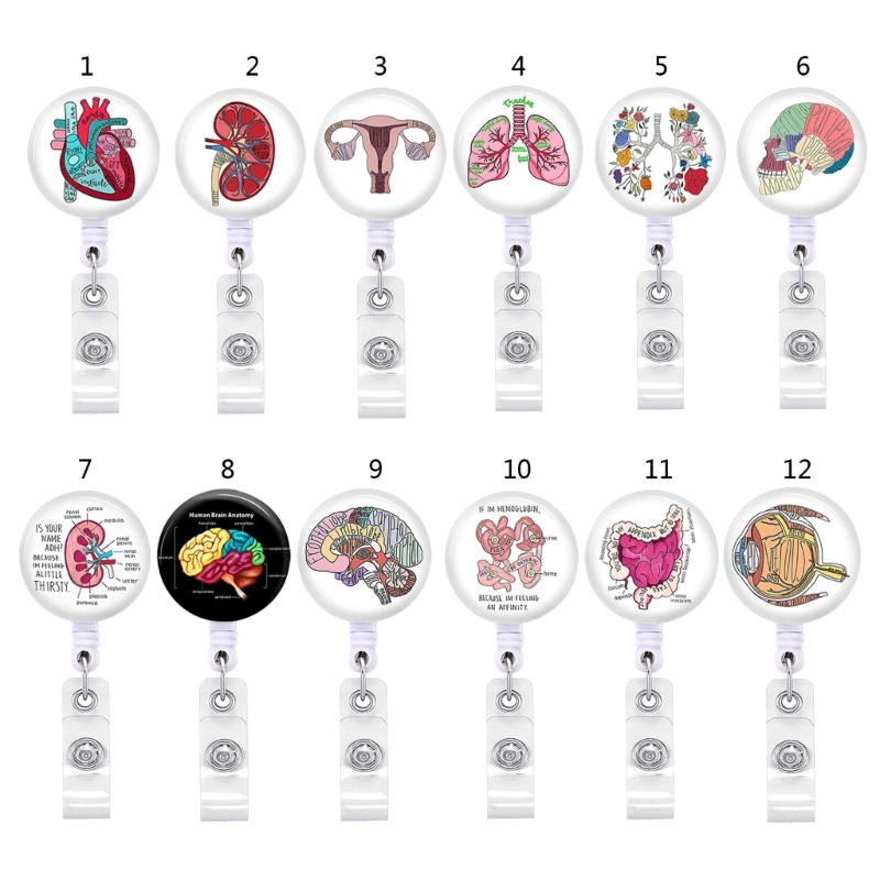 cadiling Badge Reels Retractable ID Clip Holder Anatomical Organ Nurse ...