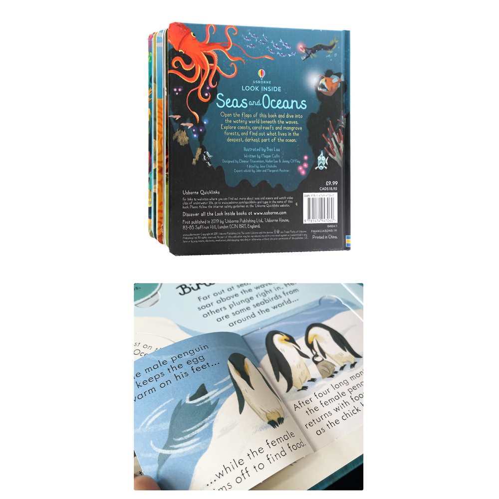 Usborne Look Inside Seas and Oceans English 3D Board Book for Kids ...