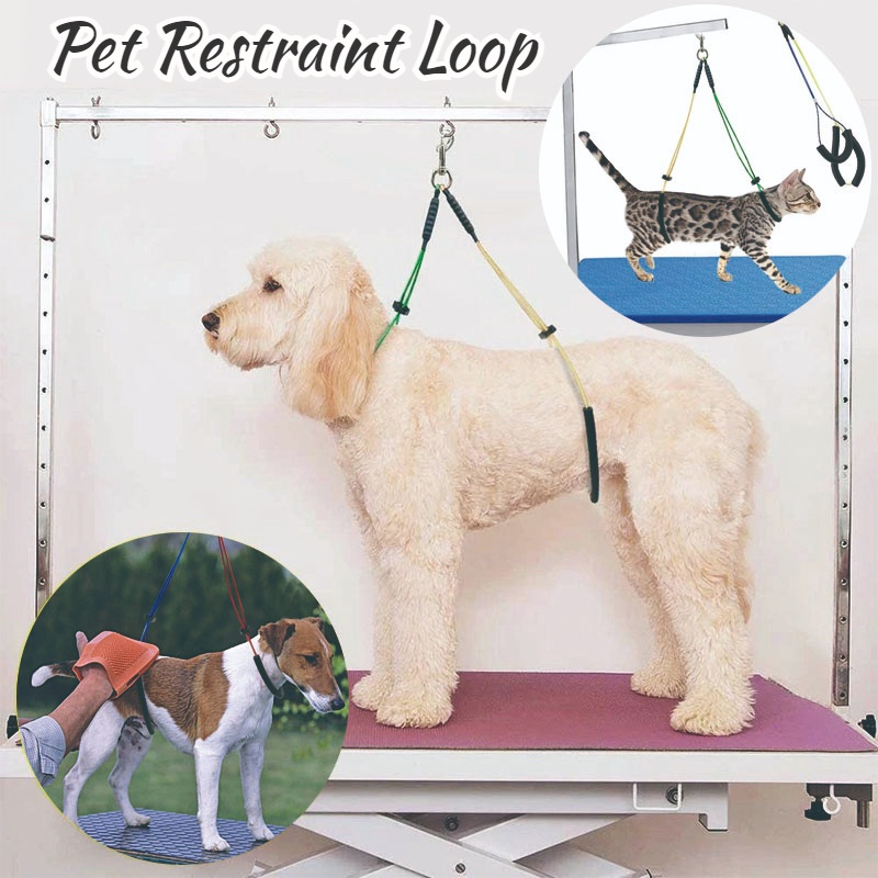 Pet Grooming Restraint Loop Cat and Dog Universal Stainless Steel ...