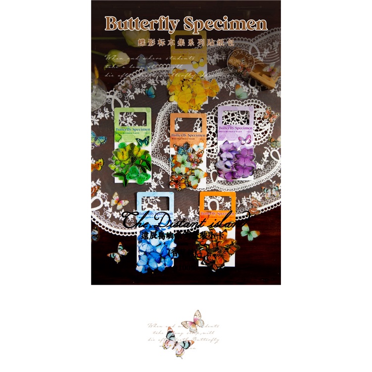 ENWEI 45 Pcs [Butterfly Shadow Specimen Series] Vintage Journal ...