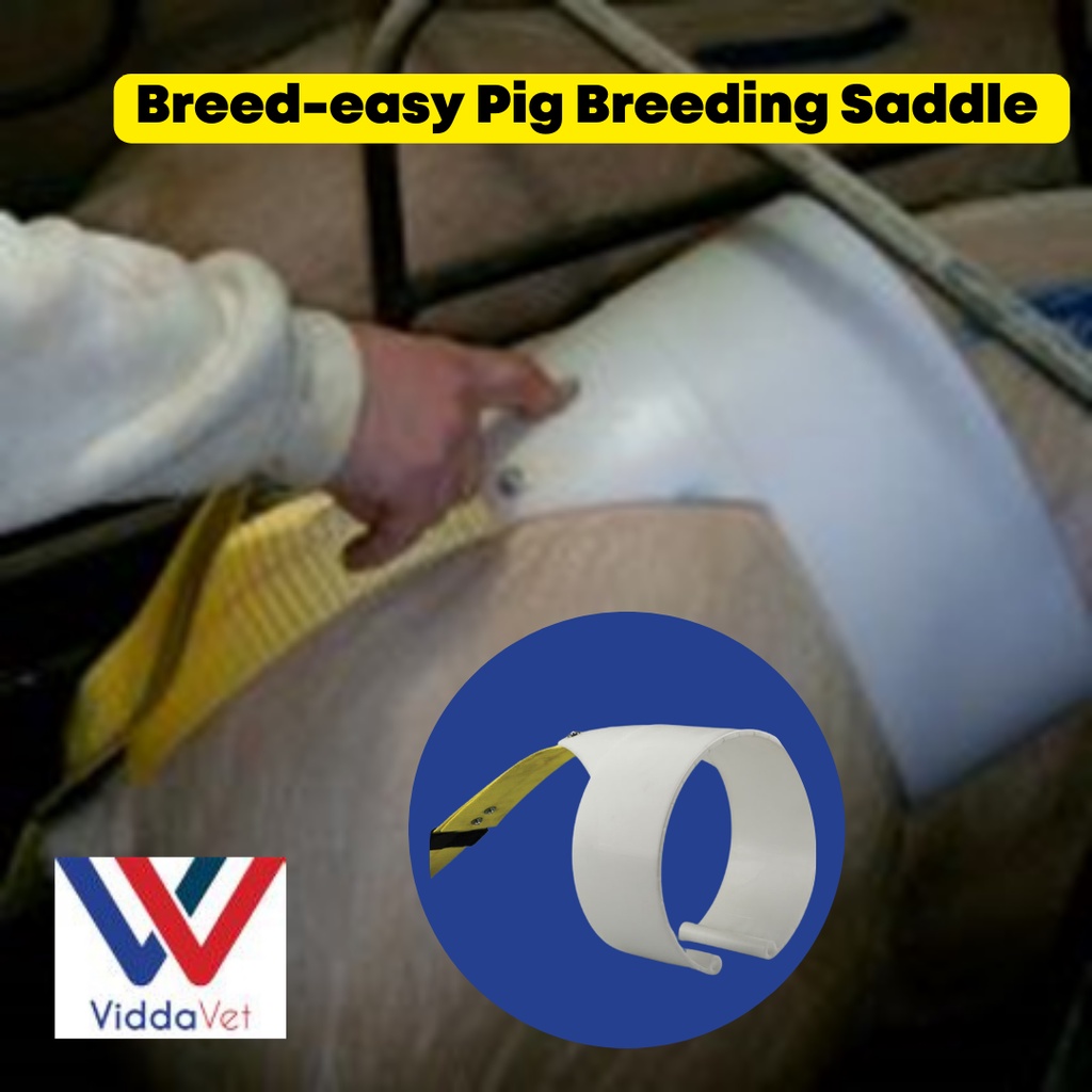 Breed-easy Pig Artificial Insemination Clip Holder A.I buddy Sow ...