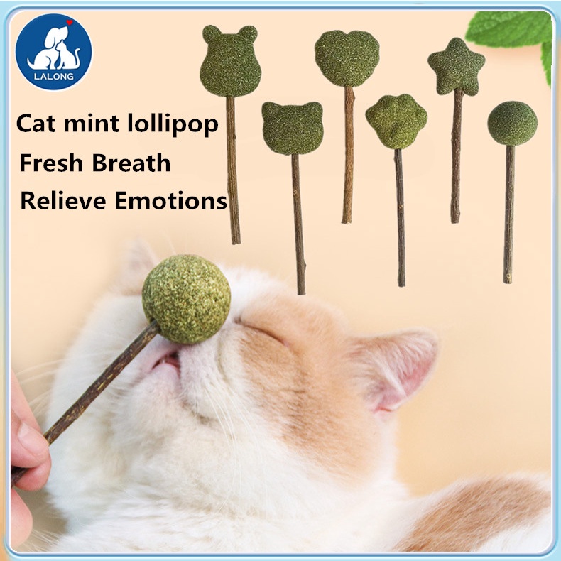 Cat Catnip Lollipop Cats Toy Kitten Mint Snacks Shopee Philippines
