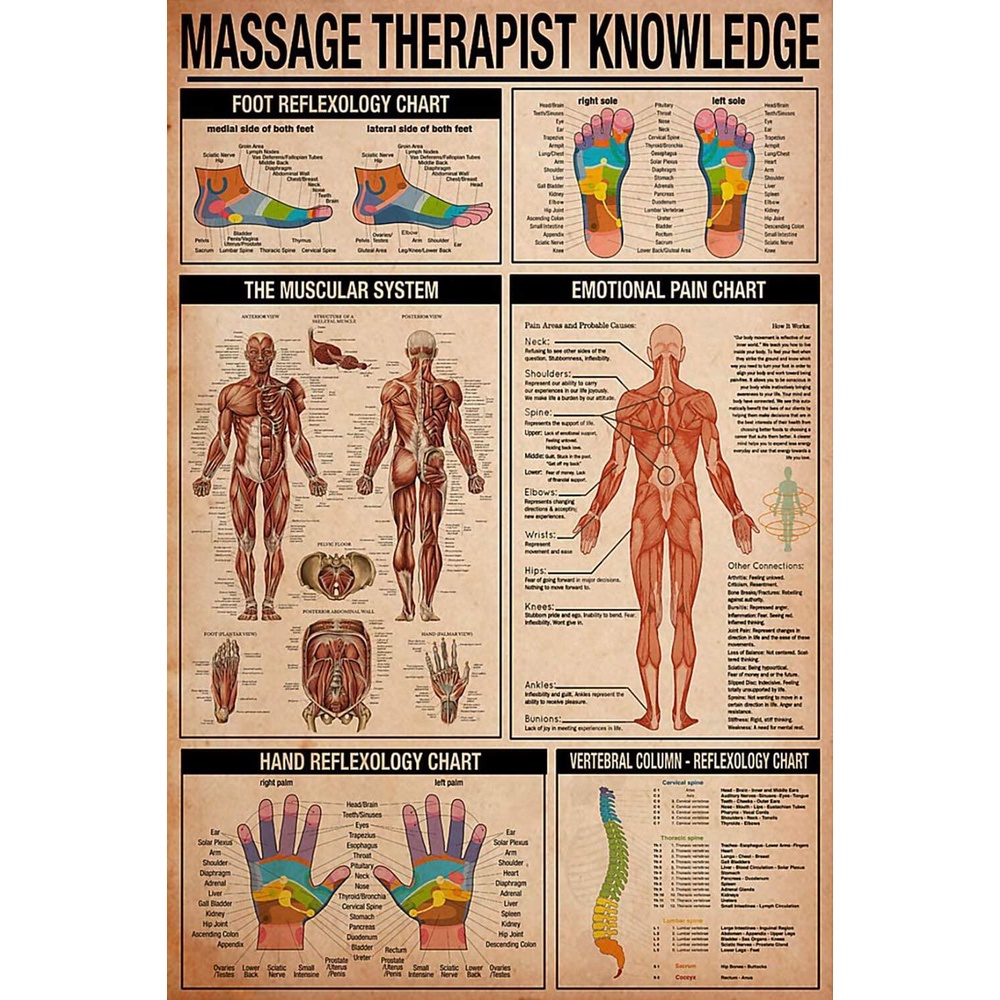 Massage Therapist Knowledge Canvas Wall Art Emotional Pain Chart Foot ...