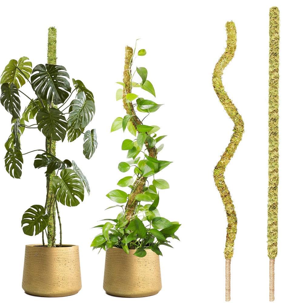 Bendable Moss Pole for Plants Monstera Handmade Slim Plant Stakes for ...