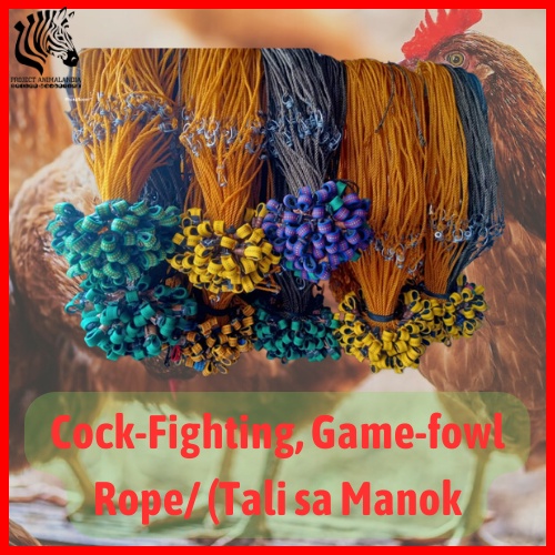Premium High Quality Rope Chicken, Cock & Rooster Cord (TALI SA MANOK ...