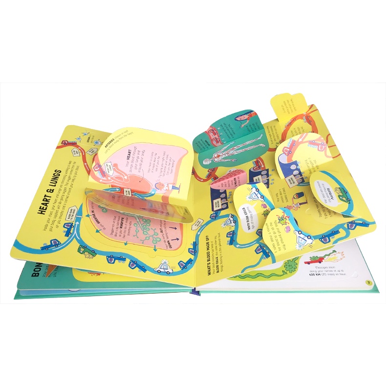Usborne Lift-the-Flap How Your Body Works Educational English Picture ...