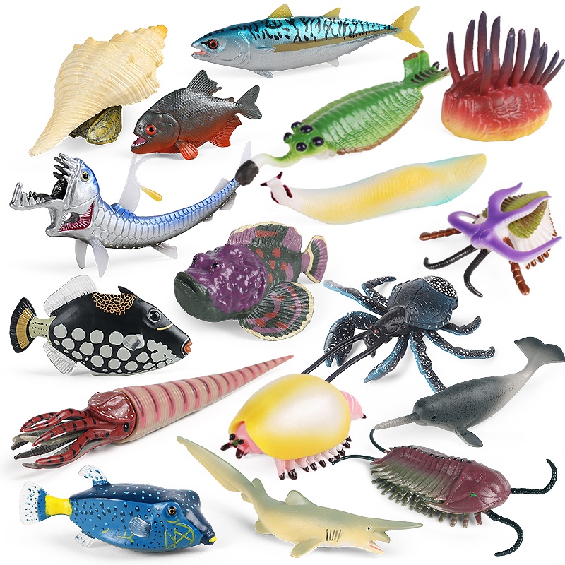 Cambrian Prehistoric Ocean Orthoceras Opabinia Trilobite Crab Shark ...