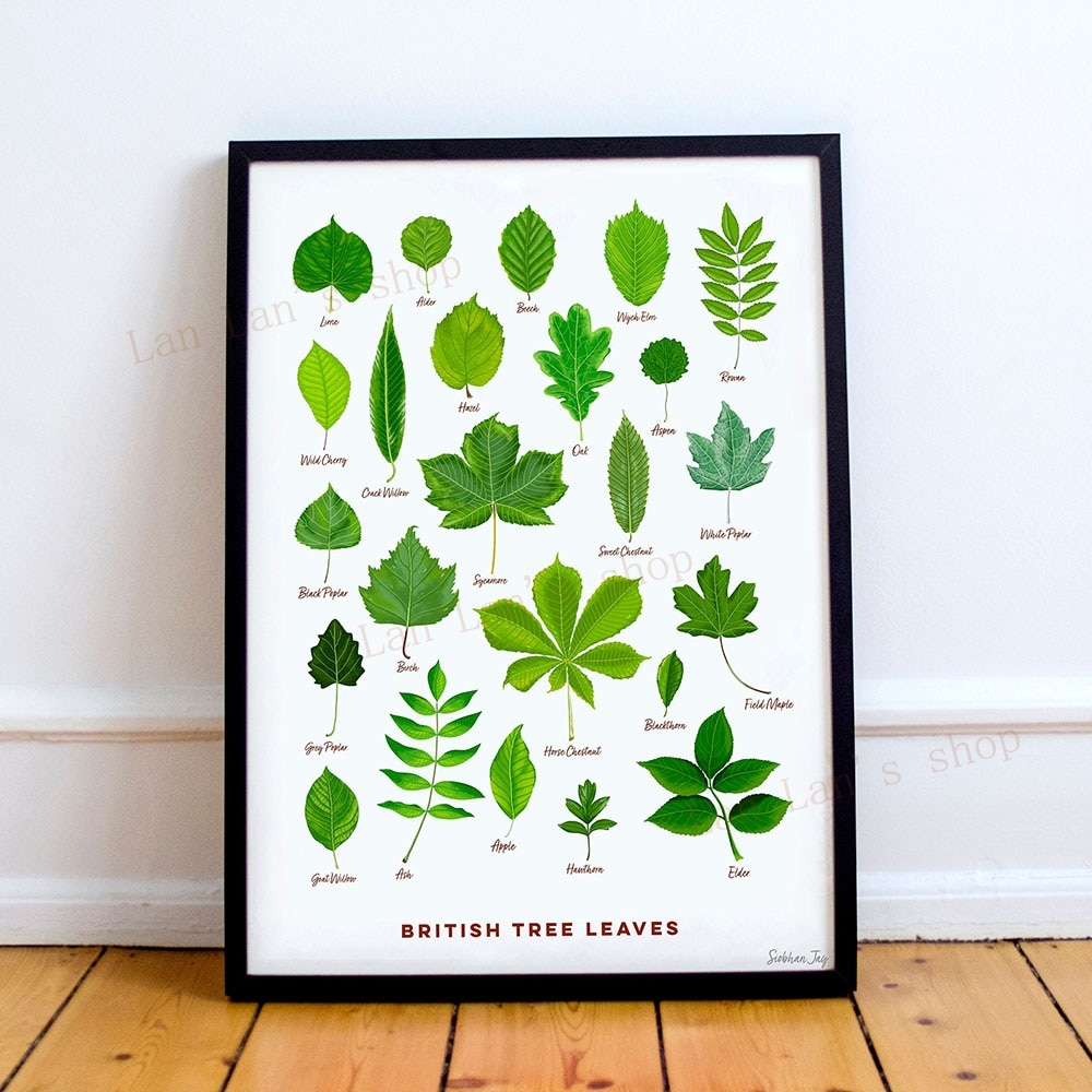 English Leaves Printable British Leaves Wild Trees Poster Art Garden ...