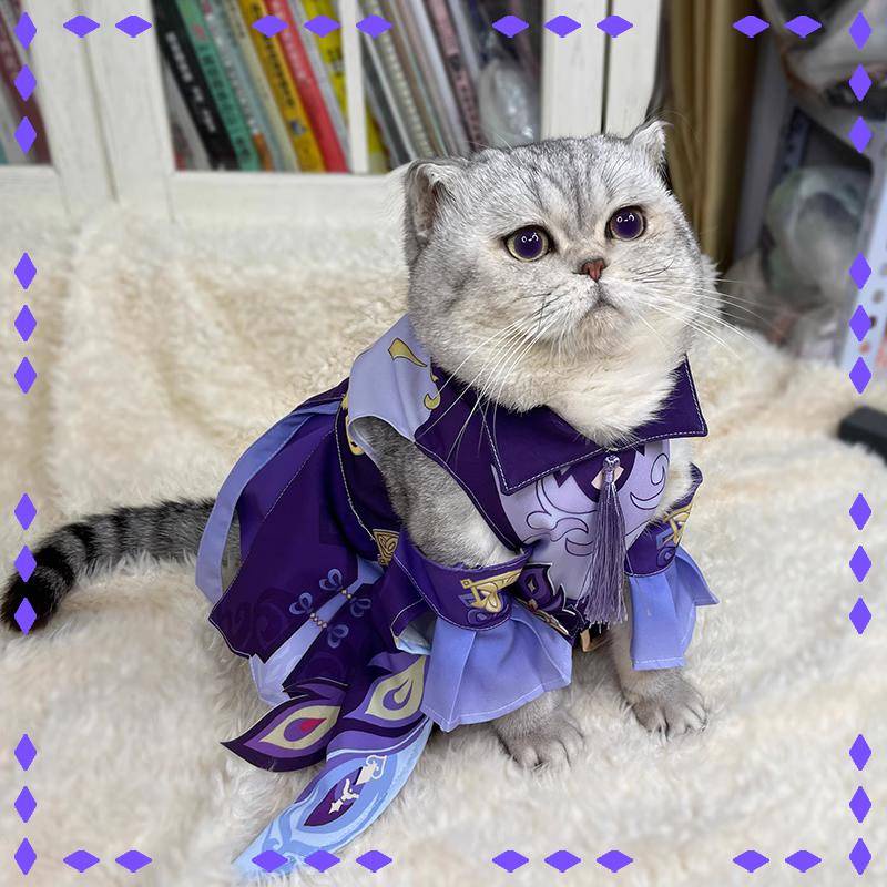 Genshin Impact cos keqing Pet Clothing Cat Clothing Game | Shopee ...