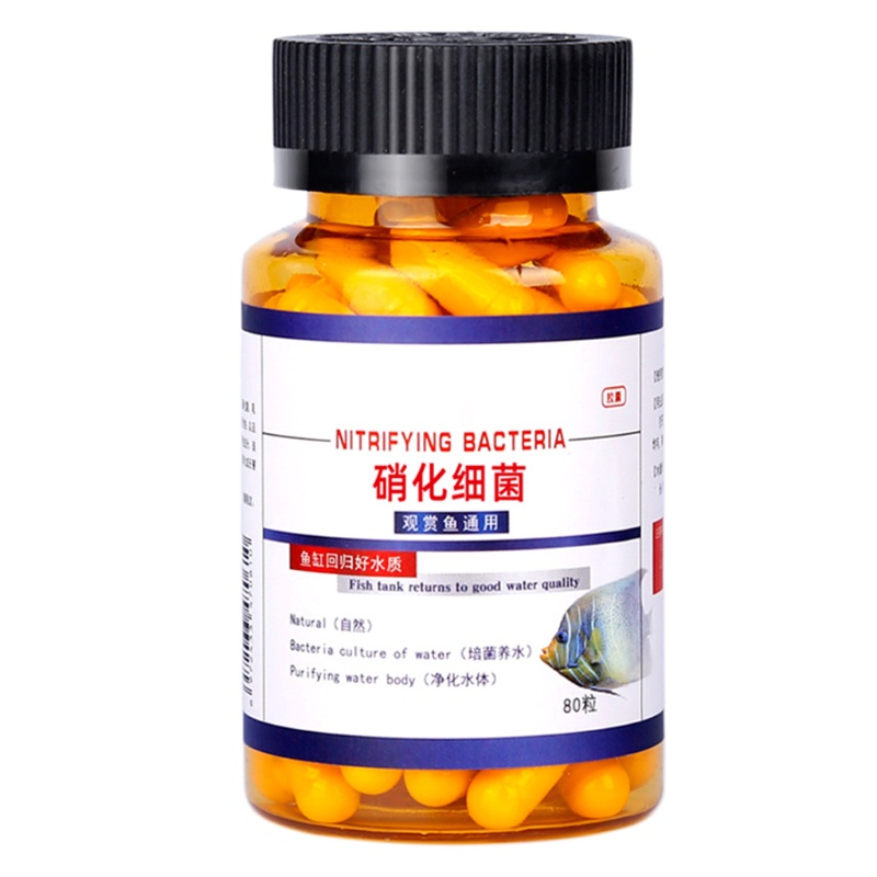 Nitrifying Six Major Bacterial Species Improve Cultivation Efficiency ...