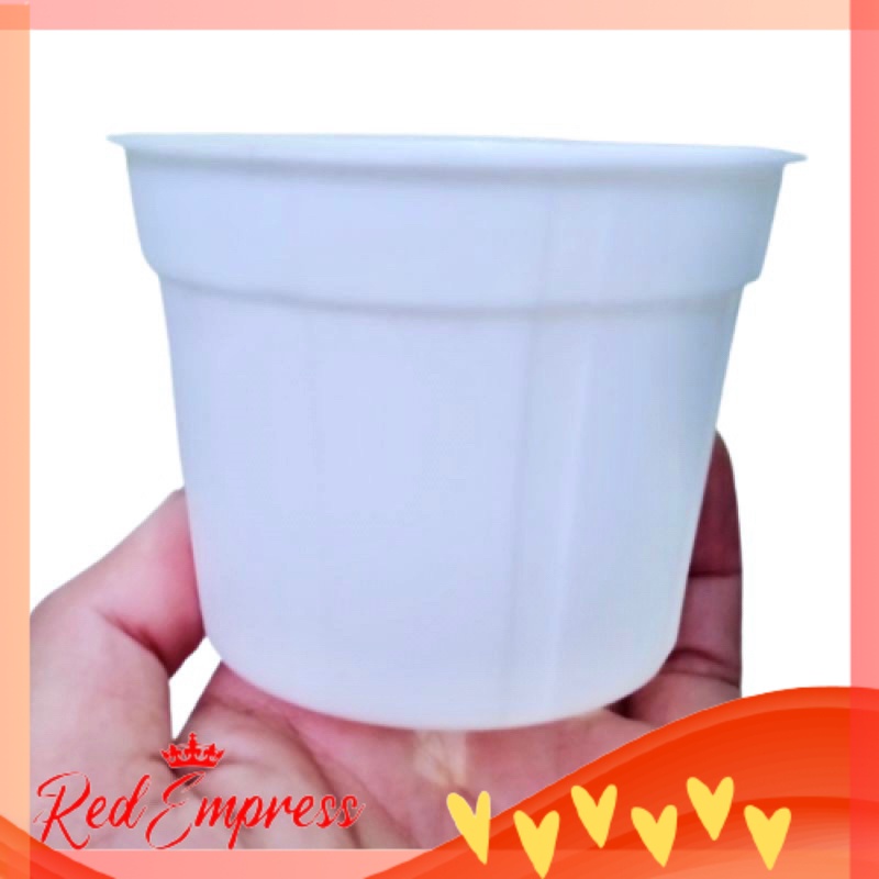 White Plastic Round Pot 3” Plastic Round Pot For Small Plant / Cactus ...