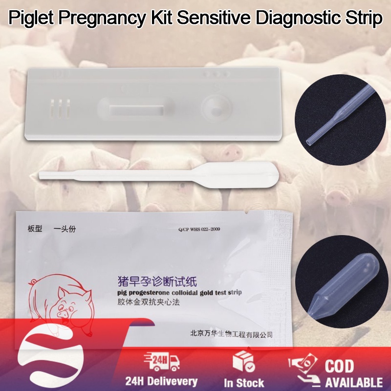 Piglet Pregnancy Diagnostic Strip Kit Sensitive Early Pregnancy Test ...