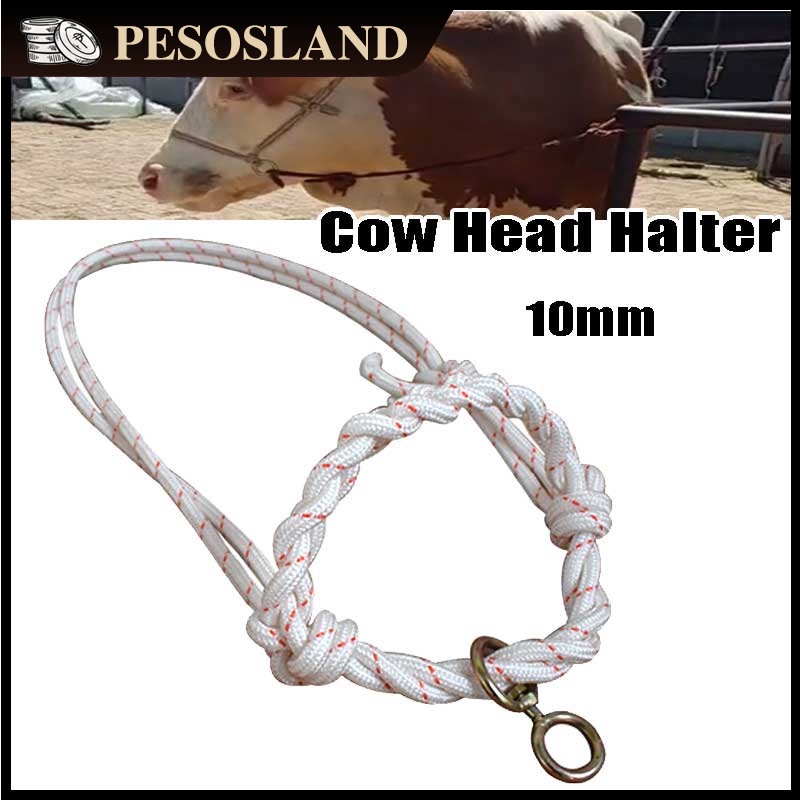 Adjustable Thick Cow Halter Head - 10mm | Shopee Philippines