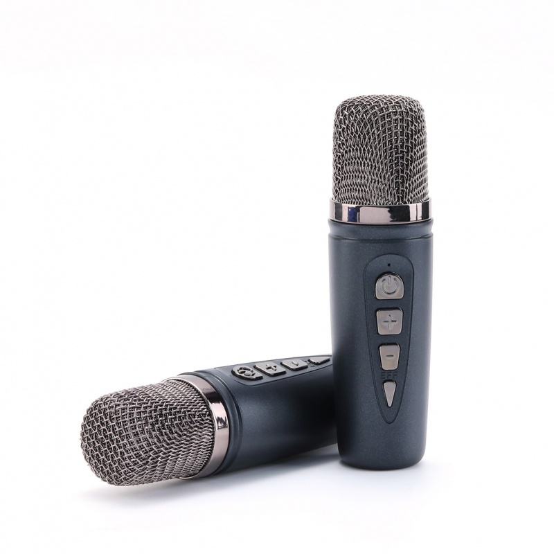 New Dual Microphone Outdoor Speakers Bluetooth 5.3 Wireless Karaoke ...