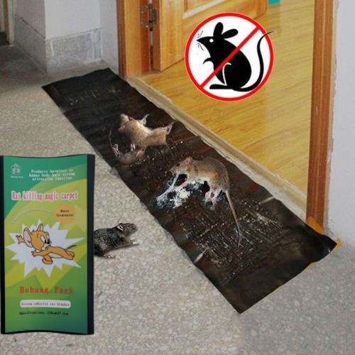 1.2M Big Sticky Tape Mice Glue Trap Mouse Board High Effective Rodent ...