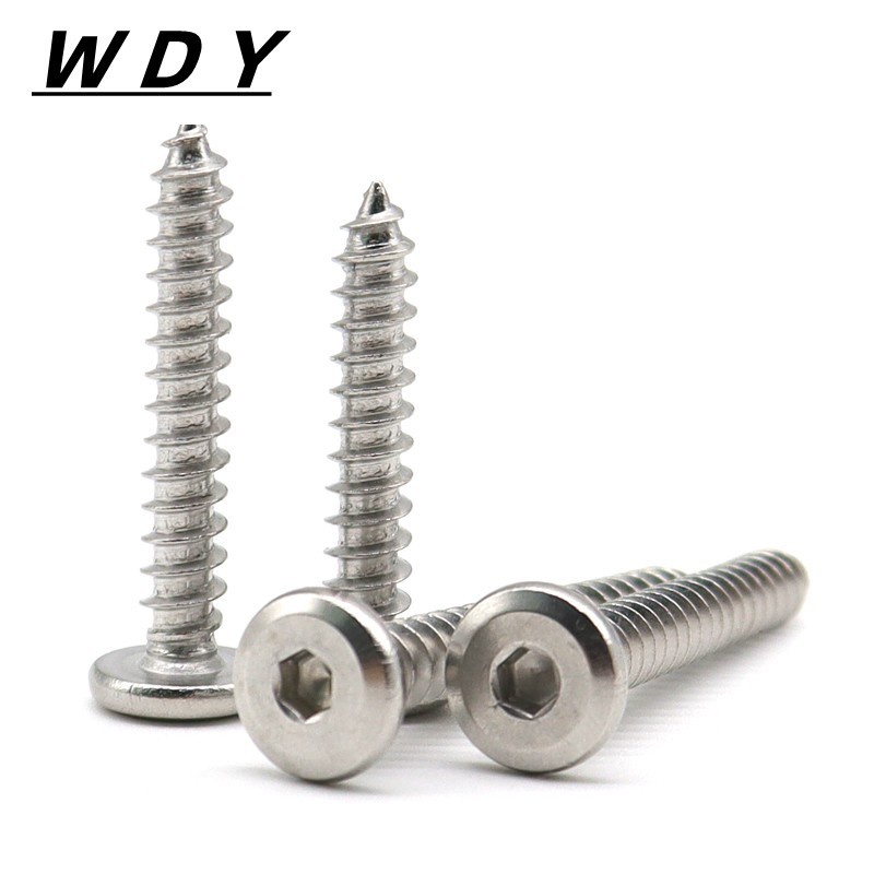 SS304 Chamfered hex socket self-tapping screw，M2M3M4 Beveled Allen head ...