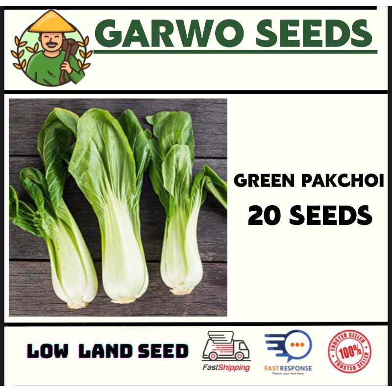 GREEN PAKCHOI VEGETABLE SEEDS- Pakchoy 20PCS | Shopee Philippines
