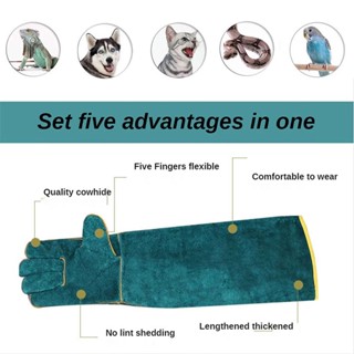 Anti Bite Protective Gloves Protection For Cats Dogs Pets Dog Biting ...