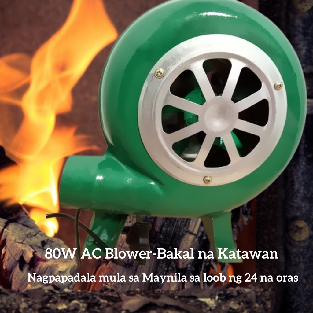 【Ready in Manila】80W AC DC Blower 2800r/min 220V Blower Stove Grill ...