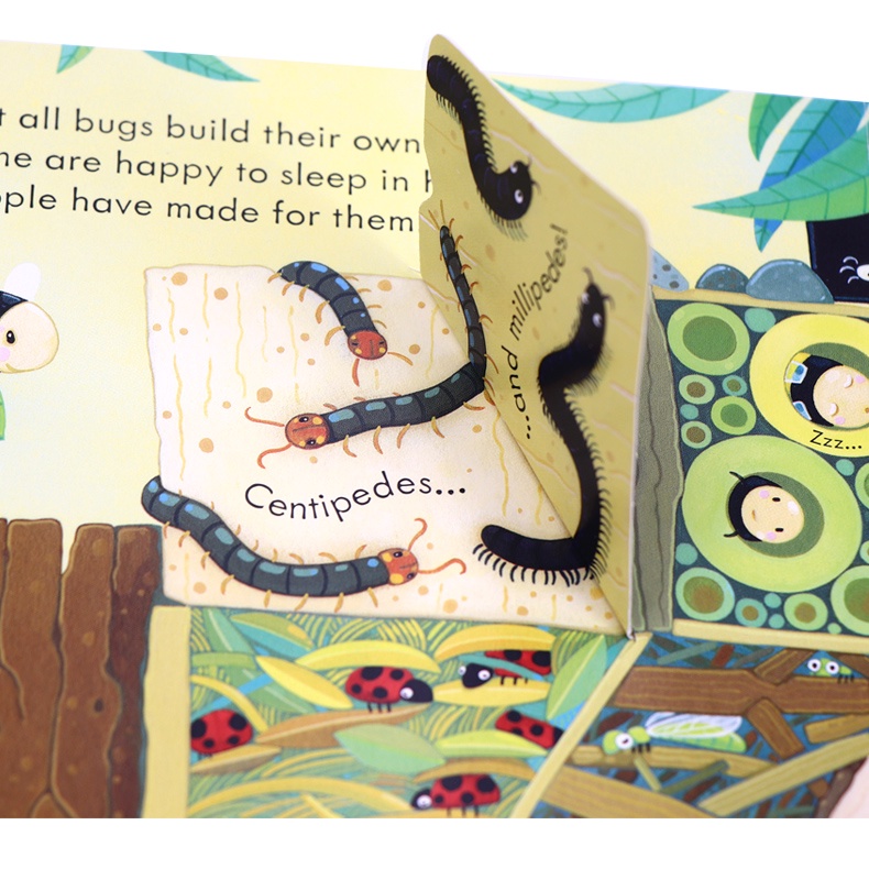 Usborne Peep Inside Bug Homes Insect Science Popularization Natural ...