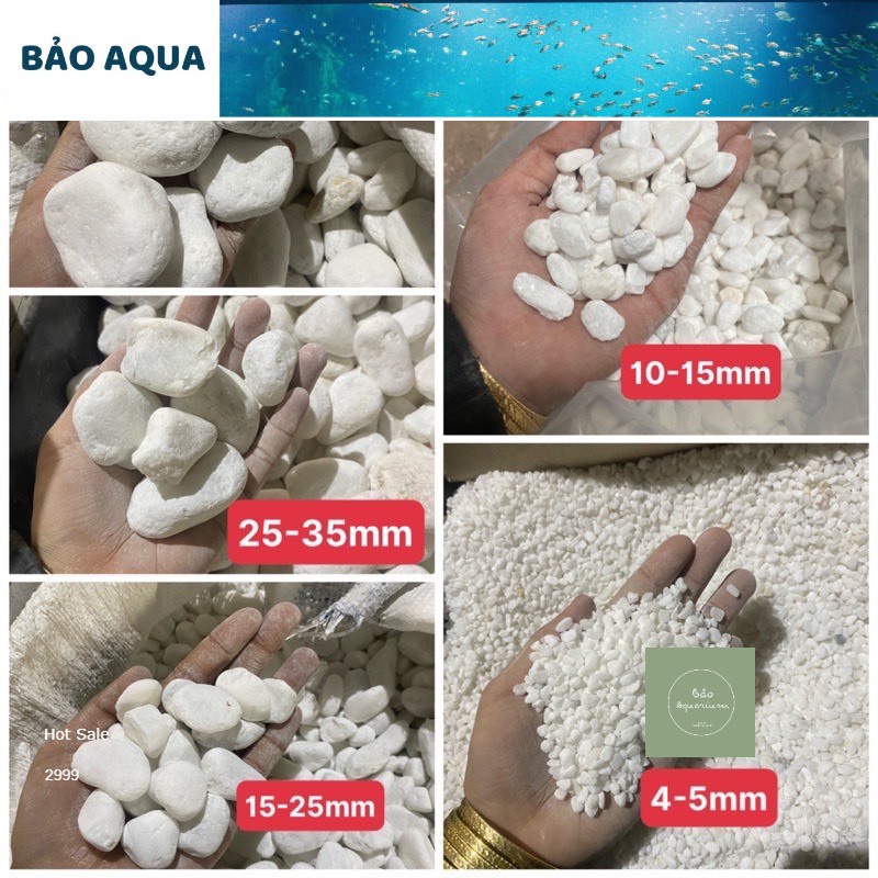 1kg White Pebbles for Aquarium Decoration - Aquarium Accessories for ...