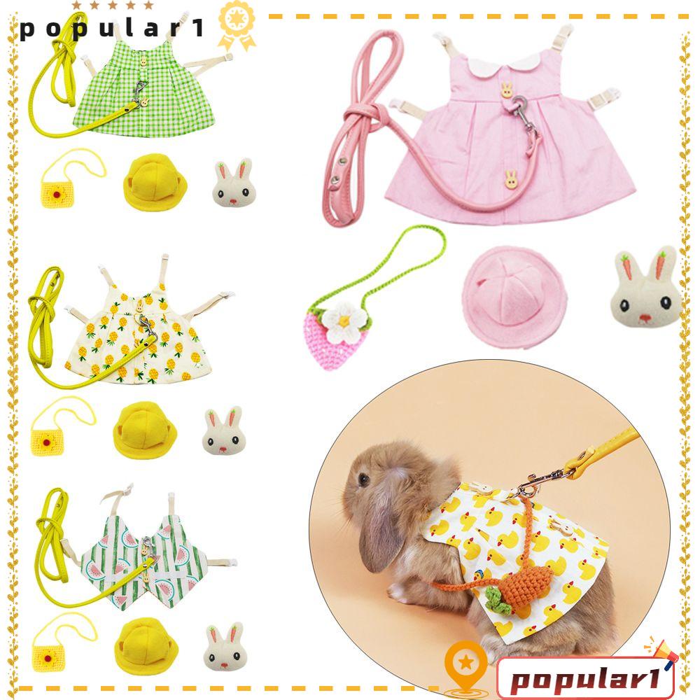 POPULAR Cute Clothes Hat Set Outdoor Small Animal Clothing Rabbit Dress ...