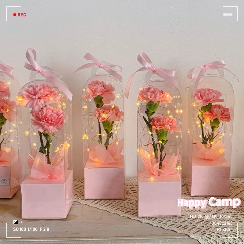 【In stock】PVC transparent panoramic rose box lighthouse portable flower ...