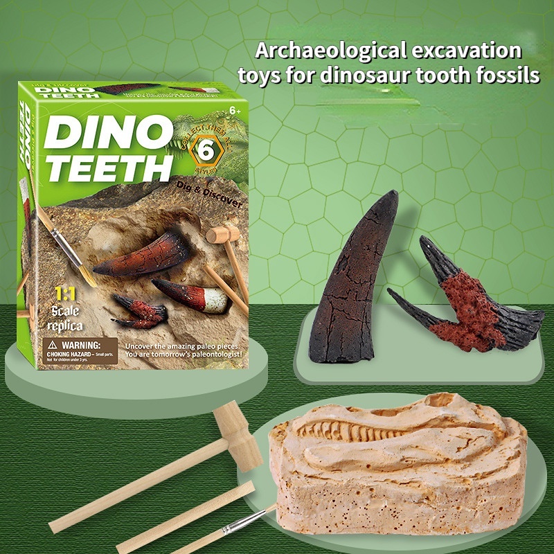 New Dinosaur Teeth and Claw Fossil Model Archaeological Excavation Toy ...