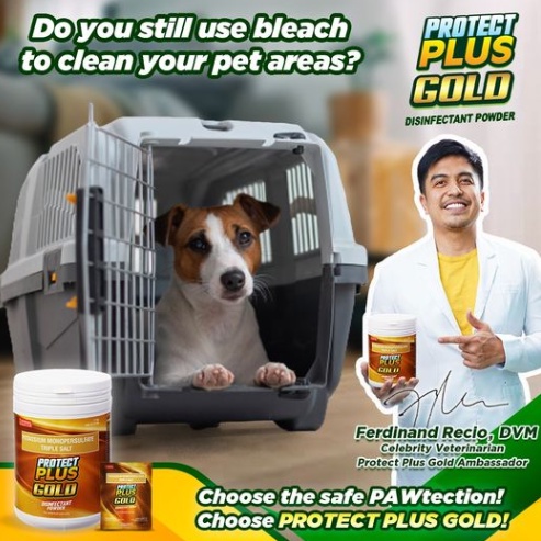 Protect Plus Gold Disinfectant (1kg) for piggery , housing, hatchery ...