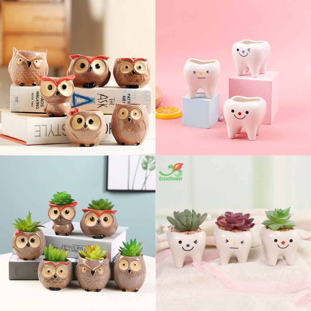 1Pc Creative Succulent Plants Owl Ceramic Flower Pot Cute Tooth Shape Household Flowerpot Garden ...