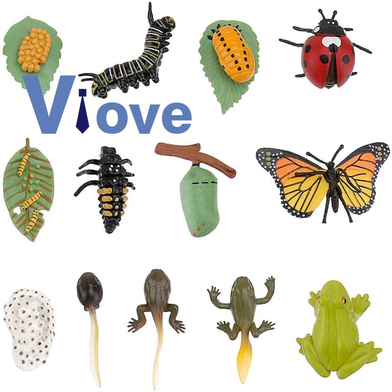3 Sets Insect Figurines Life Cycle of Butterfly Frog Ladybug ...