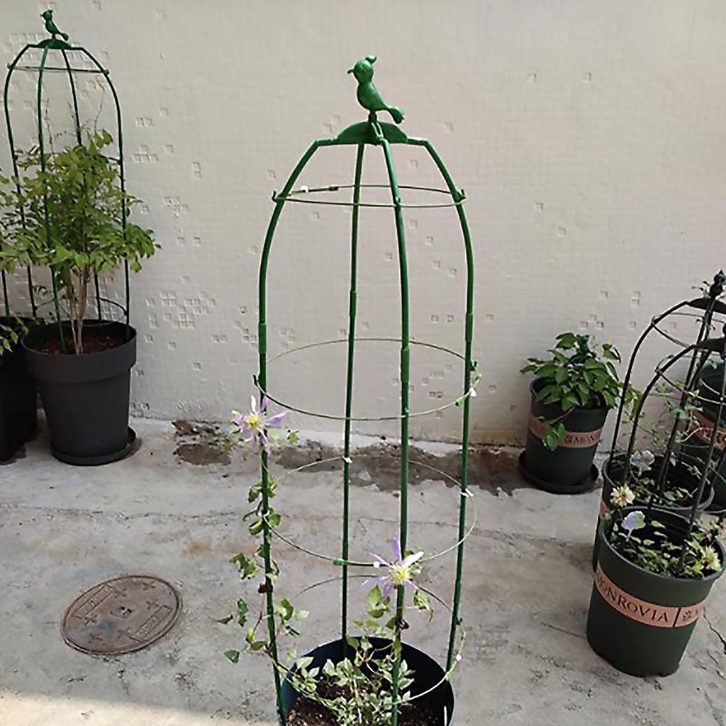 Flower Stand Lotus Frame Bracket Garden Wrought Iron Rose Clematis Vine ...