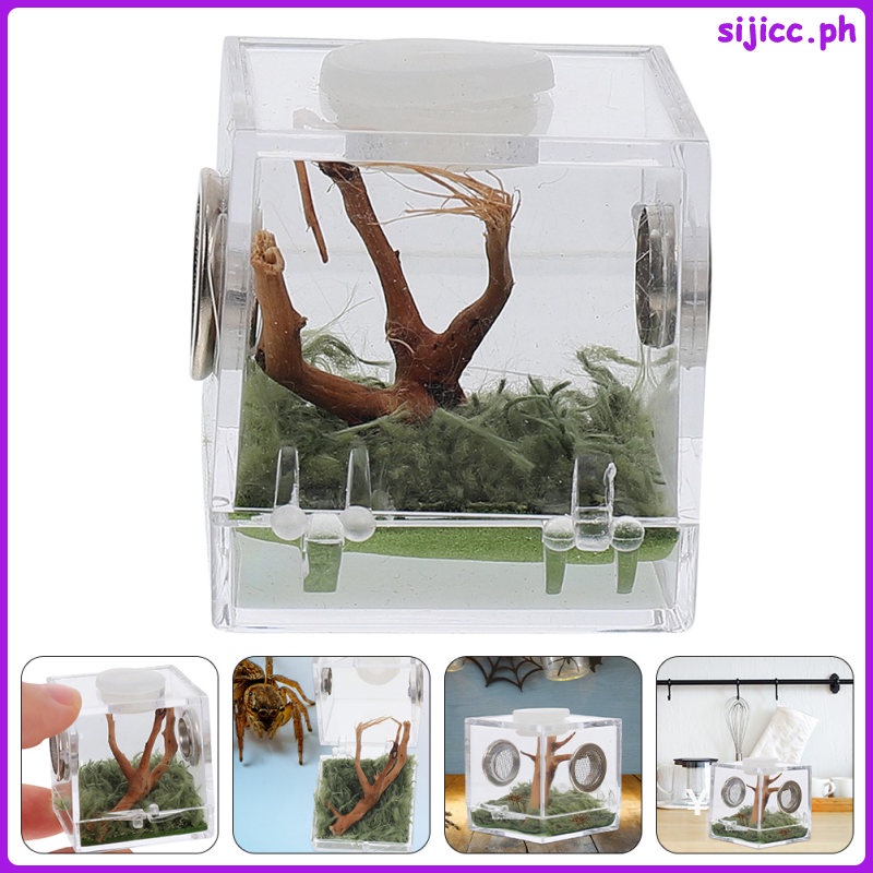 Animal Jumping Spider Breeding Box Cage Habitat Acrylic Beetle Hatching ...