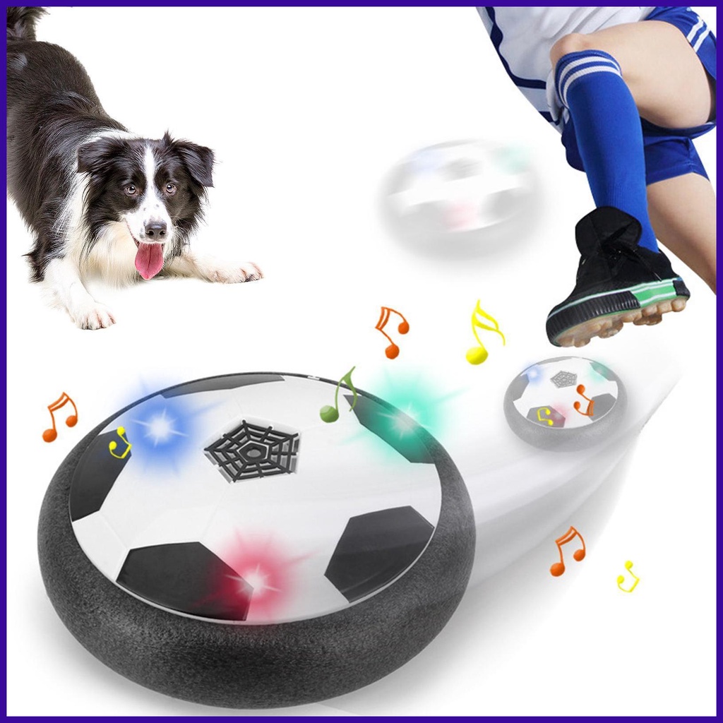 Disc Dog Toy Active Gliding Disc Dog Toys Interactive With Cool ...